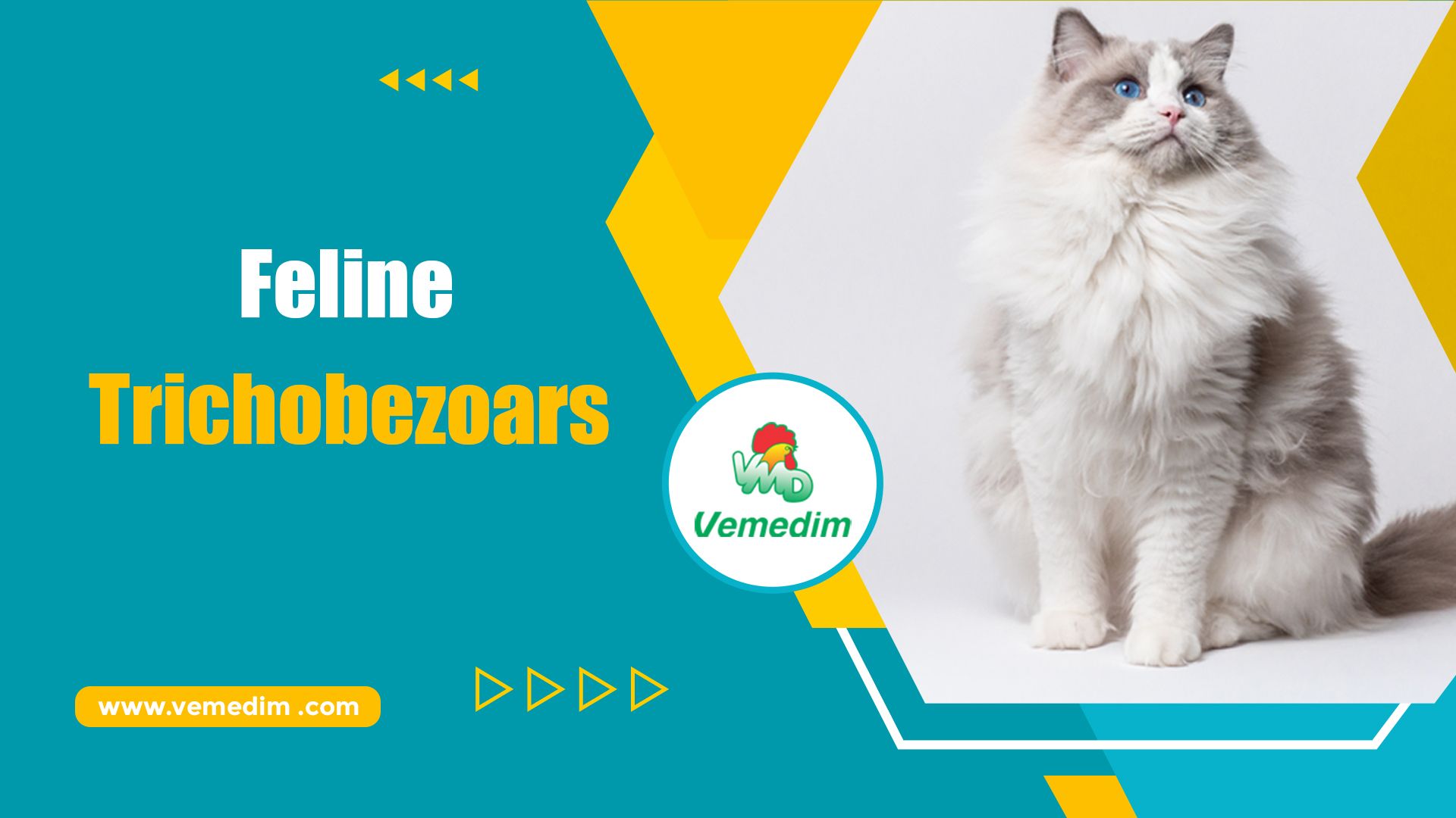Technical information - FELINE TRICHOBEZOARS