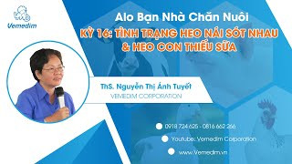Thông tin kĩ thuật - TÌNH TRẠNG HEO NÁI SÓT NHAU & HEO CON THIẾU SỮA ...