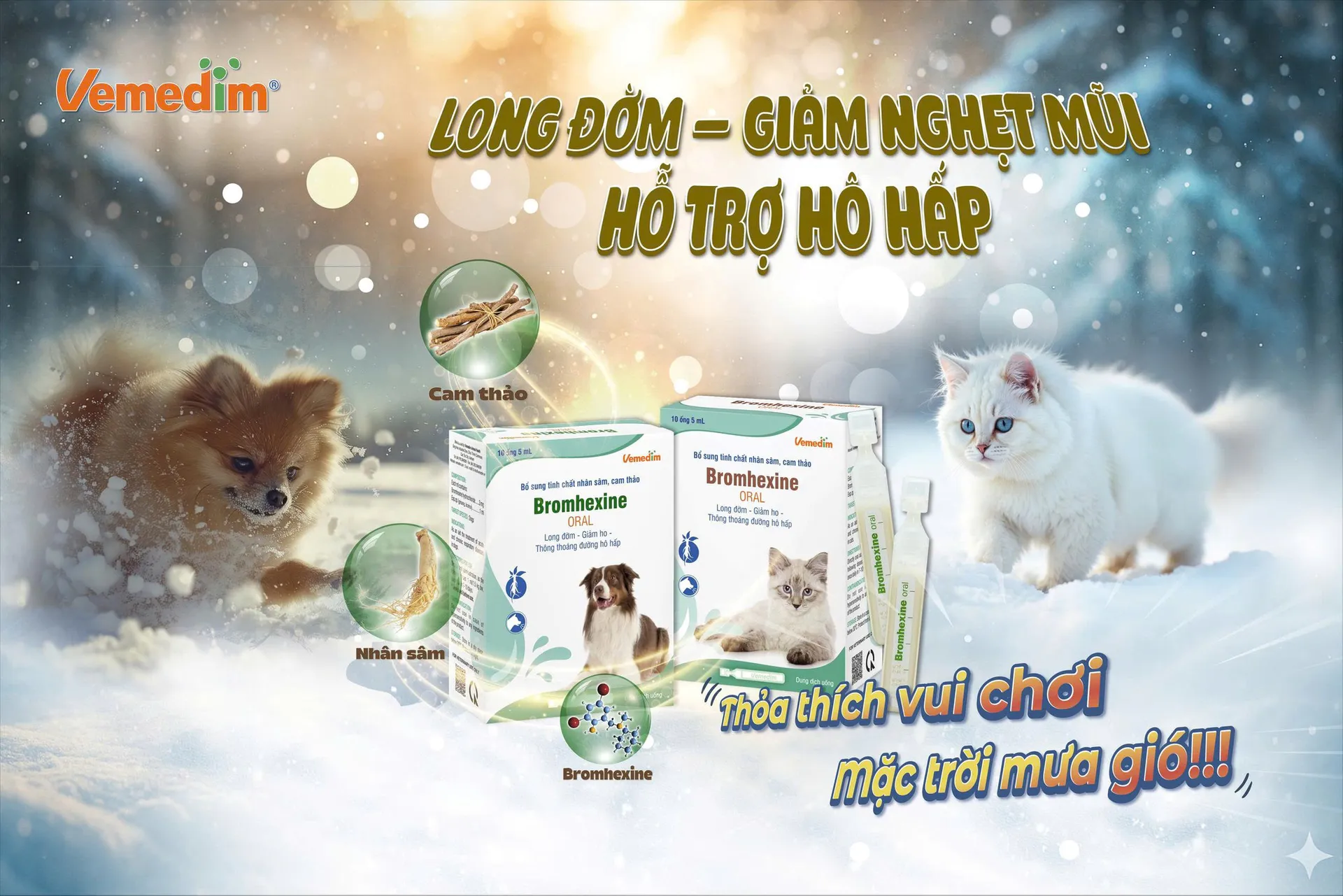 ️ TRỜI LẠNH – BOSS DỄ HO, NGHẸT MŨI? ️