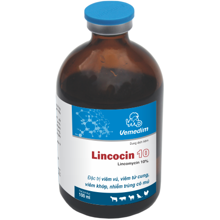 Sản phẩm Lincocin 10
