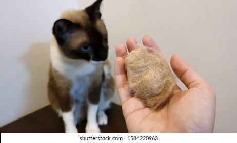 HOW TO DEAL WITH YOUR CAT'S HAIRBALL PROBLEM