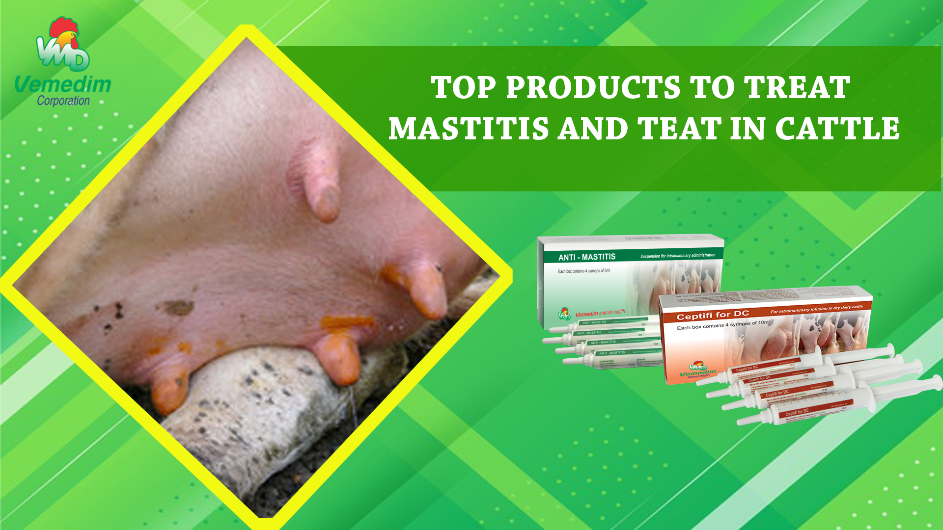 Technical information - MASTITIS AND TEAT DISEASES IN CATTLE